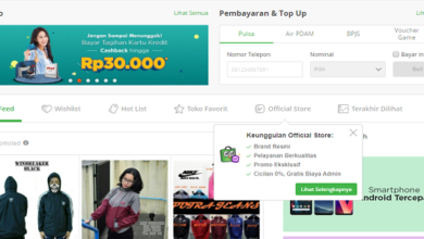 Drone Pengirim Paket, Apa Itu? - SENANG BERBAGI